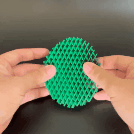 Morf Worm Fidget Toy - Circle– 3D Crazy Works
